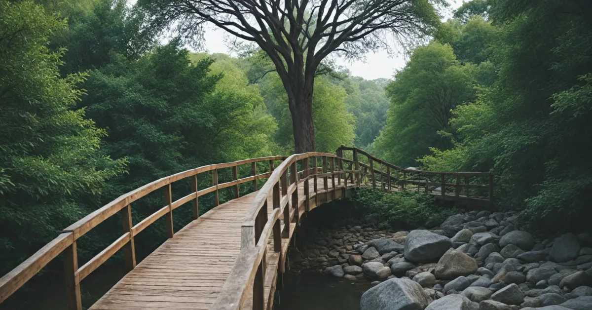 Comprendre les différentes catégories de leadership pour mie